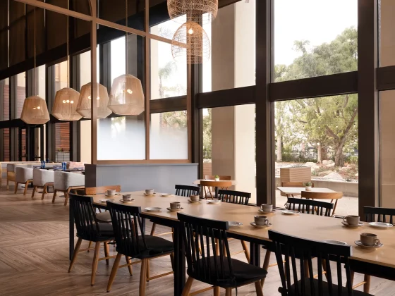 See What You Can Expect from The Peel | Gallery